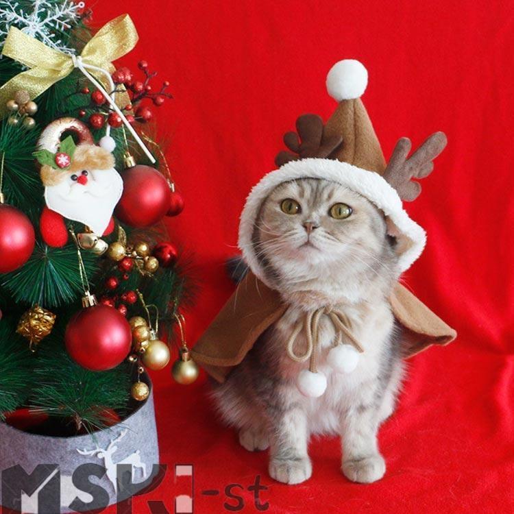 クリスマスケープ コート ペット服 ペットウェア サンタ クリスマス コスプレ 衣装 猫 小型犬 サンタクロース マント ポンチョ : MSK1ストア - 通販 - Yahoo!ショッピング
