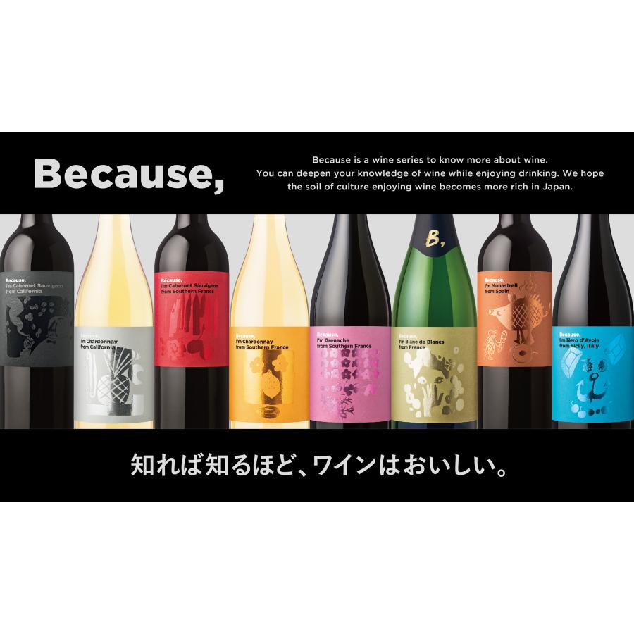 Because, ビコーズ 8本セット ワイン セット wine :10010225:ワインの専門店ヴィネクシオ Yahoo!店 - 通販 ...