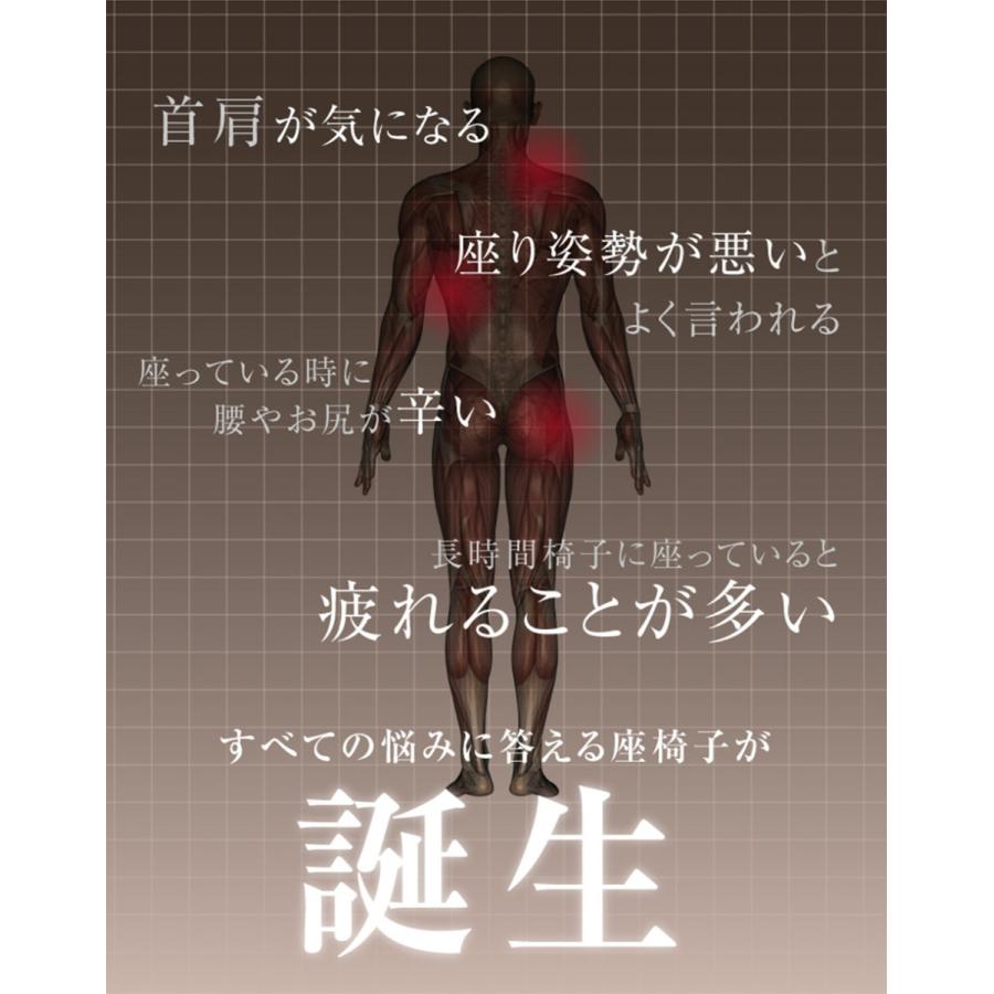 PROIDEA 肩・首スッキリ座椅子 HOGUURE レッド (0070-3937) 骨盤矯正座椅子 腰痛 姿勢 骨盤 ゆがみ 矯正 首 肩 肩甲骨 Vivalance JMP KNS ...