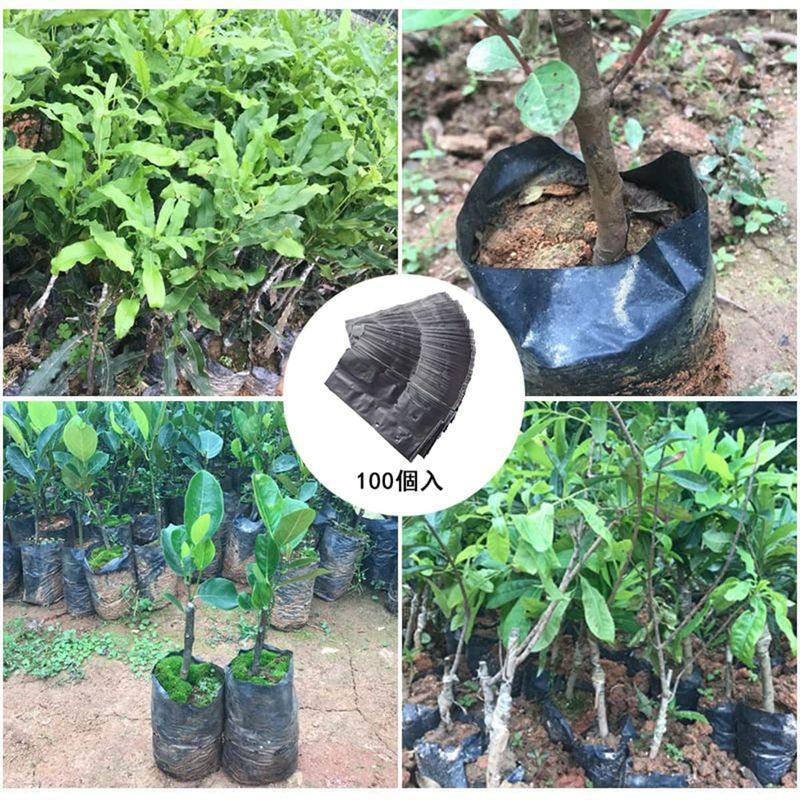 Lanito 育苗袋 植え袋 PE育苗袋 果実防虫袋 100個入 ガーデン花・植物・苗バッグ ガーデンニング 園芸 植物育成 野菜栽培 通気 :p214718120cc4:MUMEI LIFE ...