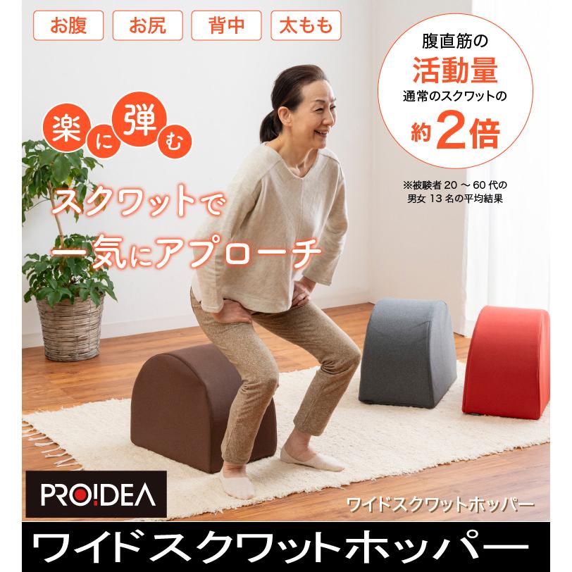 PROIDEA ワイドスクワットホッパー 楽に弾むスクワットで一気にアプロ−チ 腹直筋の活動量。通常のスクワットの(約)2倍 : 村田家具 Yahoo!店 - 通販 - Yahoo!ショッピング