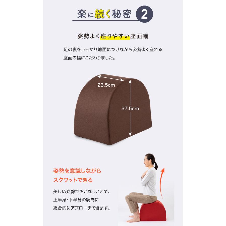 PROIDEA ワイドスクワットホッパー 楽に弾むスクワットで一気にアプロ−チ 腹直筋の活動量。通常のスクワットの(約)2倍 : 村田家具 Yahoo!店 - 通販 - Yahoo!ショッピング
