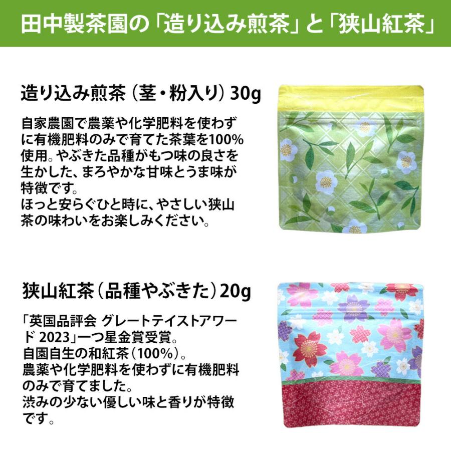 洗いやすい 急須 新感覚 きゅーす ちゃPod2 (POD02) 選べるお茶2個セット AO Labo. お茶 紅茶 割れない 耐熱 耐衝撃 茶こしのいらない 温活 ギフト : Murphy ...