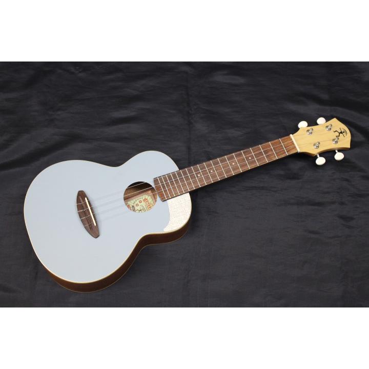 【発売記念特価】新品 aNueNue(アヌエヌエ) / aNN-UC10 BA(ブルーアロナ) コンサートウクレレ : MusicStore ...