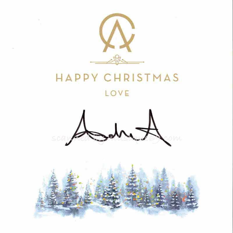 コアーズ The Corrs (Andrea Corr) - The Christmas Album: UK Exclusive ...