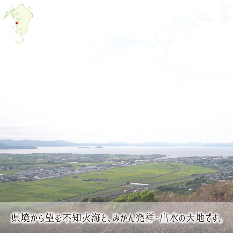 不知火(デコポン) 秀品 3L 5kg 減農薬 無化学肥料 特別栽培 鹿児島県出水市産 13〜15玉 12月上旬〜2月下旬 送料無料 : 産直 むすび - 通販 - Yahoo!ショッピング