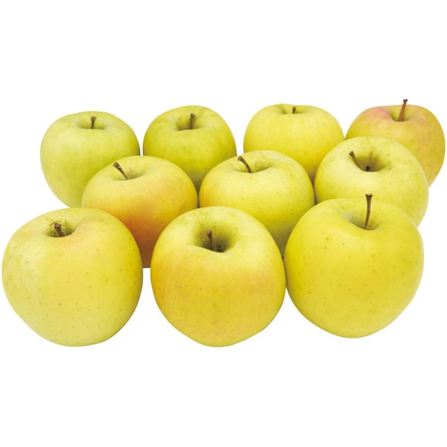 ★11/2 23:59までボーナスストアPlus+10%★お歳暮 長野県産 おうち用志賀高原のぐんま名月りんご2．7kg以上 : マックスバリュ東海ヤフー店 - 通販 - Yahoo!ショッピング