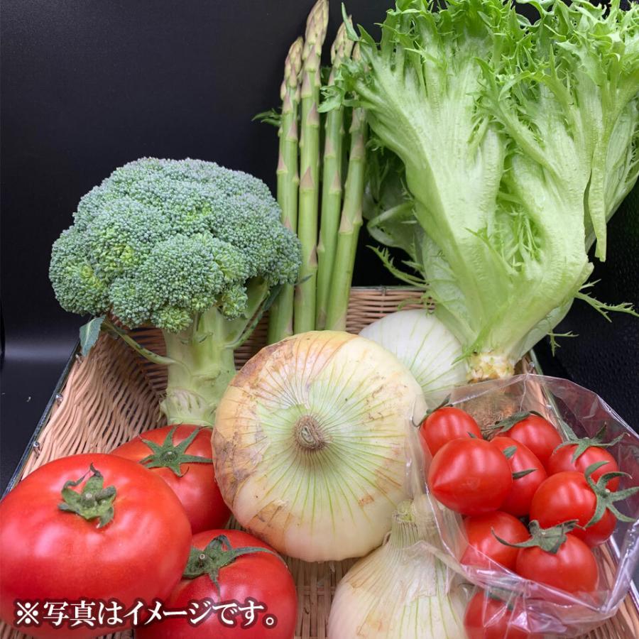 【三重県鈴鹿みどりの大地】 鈴鹿高原野菜セット（S）1箱 : da001 : マックスバリュ東海ヤフー店 - 通販 - Yahoo!ショッピング