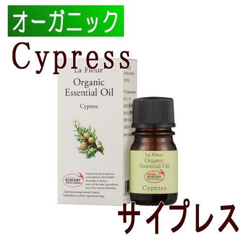 オーガニックエッセンシャルオイル サイプレス（2mL） AEAJ表示基準適合認定精油 : ヒーリング雑貨の専門店 My Earth - 通販 - Yahoo!ショッピング