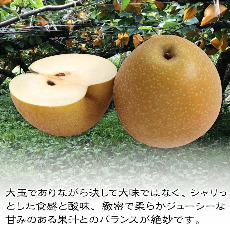 梨 王秋 贈答用 3kg 5~8玉入 鳥取県産 おうしゅう ギフト 進物用 送料無料（北海道・沖縄を除く） :32-017-nashi:MY GIFT - 通販 - Yahoo!ショッピング