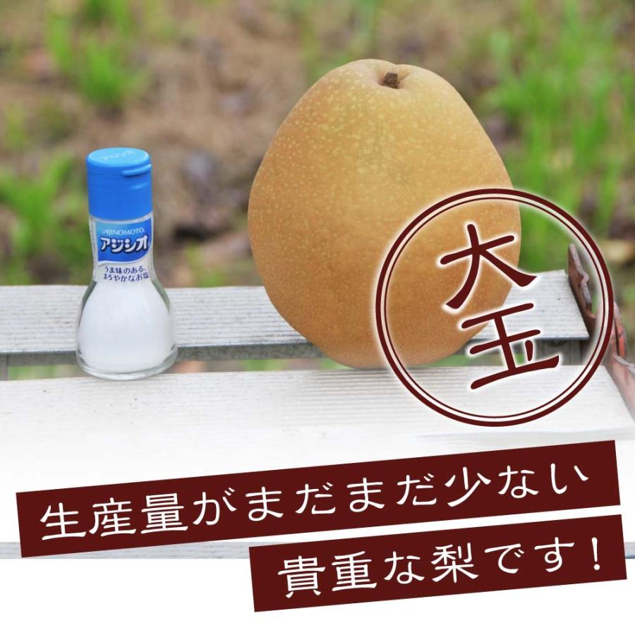 梨 王秋 贈答用 3kg 5~8玉入 鳥取県産 おうしゅう ギフト 進物用 送料無料（北海道・沖縄を除く） :32-017-nashi:MY GIFT - 通販 - Yahoo!ショッピング