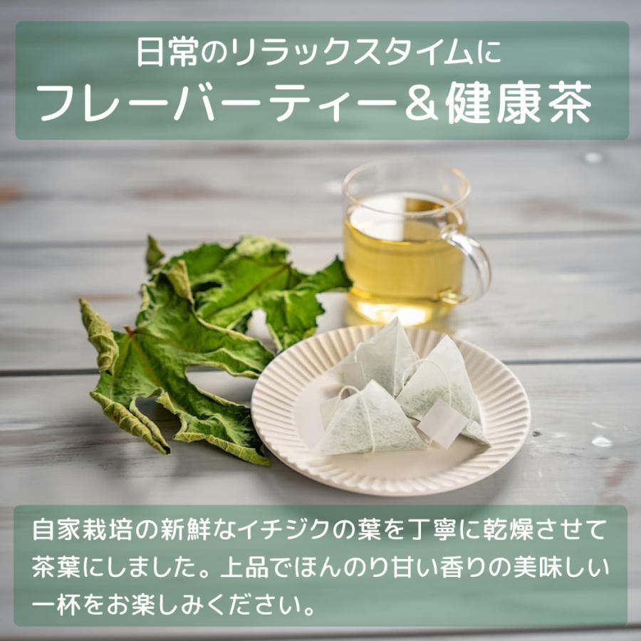 お茶 イチジク茶 10g（2g×5袋）×3 いちじく茶 日本茶 葉茶 ティーパック ギフト 添加物不使用 産地直送 鳥取 国産 送料無料（北海道・沖縄を除く） : MY GIFT - 通販 ...