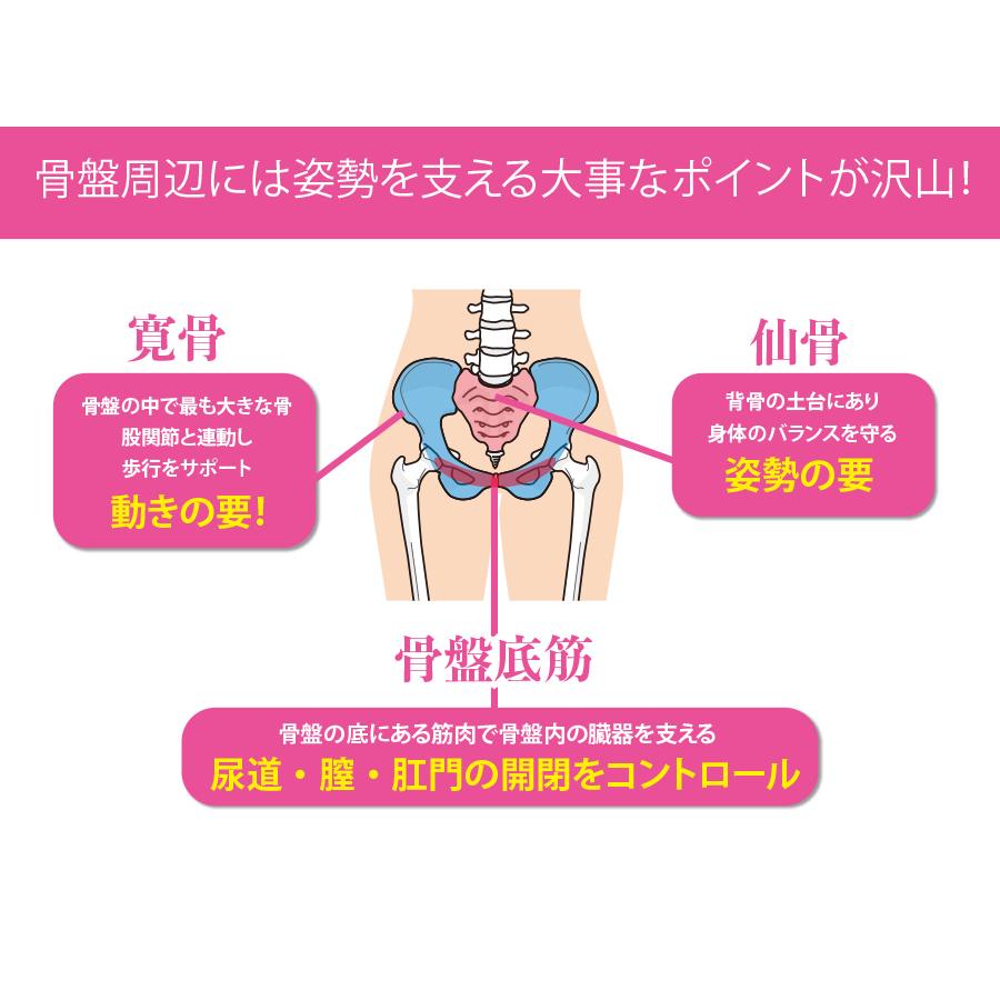 Micaco骨盤MOVEショーツ(ブラック/ローズベージュ) ダイエット 補整下着 シェイプインナー 美姿勢 引き締め 補正 :6288:美容健康ダイエット通販 マイラボ - 通販 ...