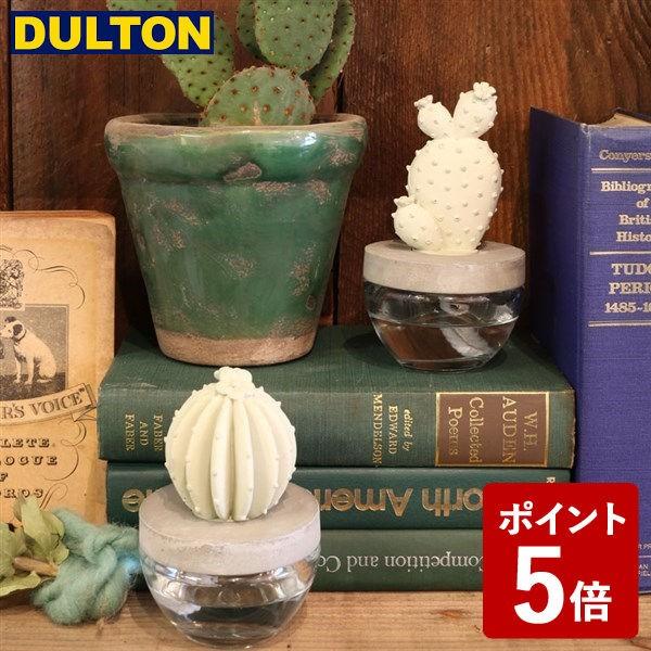 (在庫限り)DULTON カクタス フレグランス ディフューザー A CACTUS FRAGRANCE DIFFUSER ELEGANT PEONY G675-824A-EP ダルトン ...