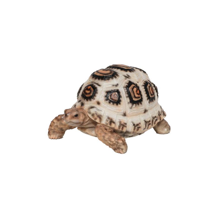 カメ 置物 ペットバンク レオパード トータス Pet Bank Leopard カメ 置物 ペットバンク レオパード トータス Pet Bank Leopard