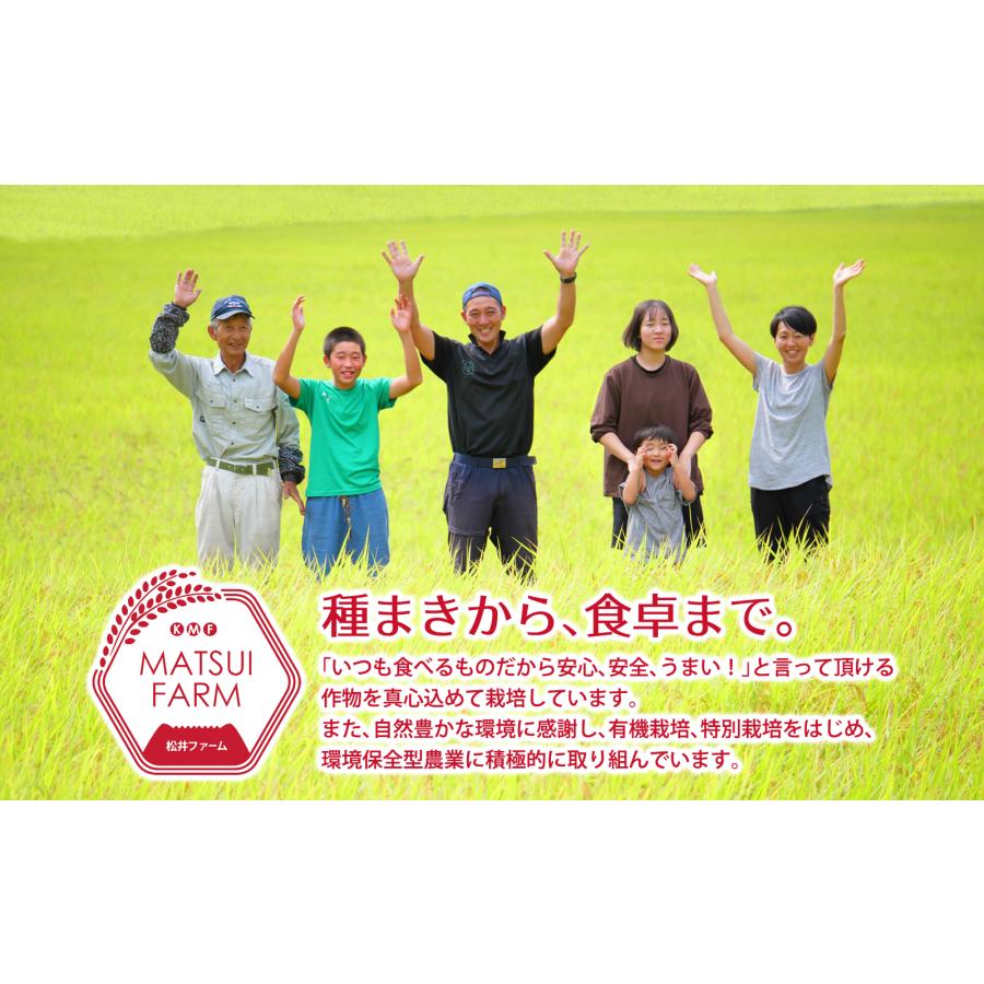 コシヒカリ 新米 令和7年産 10kg (5kg×2) こしひかり 南魚沼産 松井ファーム ギフト 精米 白米 うるち米 新潟県産 魚沼産 お歳暮 冬ギフト : 越後まんぷく堂 - 通販 ...