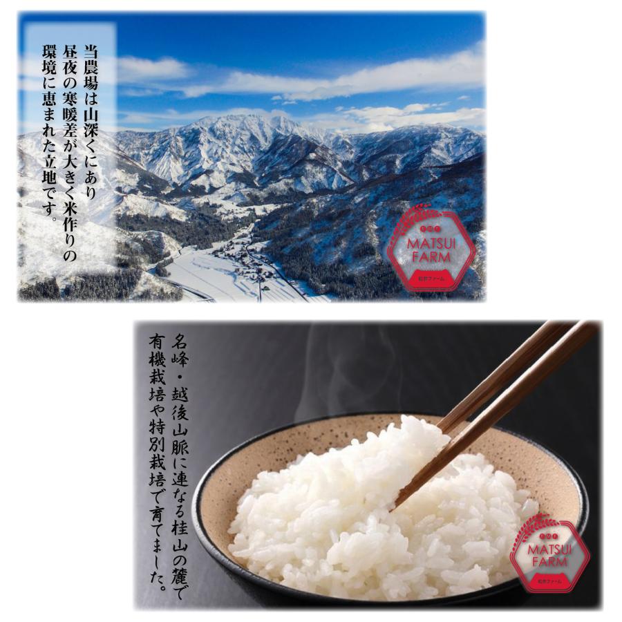 コシヒカリ 新米 令和7年産 10kg (5kg×2) こしひかり 南魚沼産 松井ファーム ギフト 精米 白米 うるち米 新潟県産 魚沼産 お歳暮 冬ギフト : 越後まんぷく堂 - 通販 ...