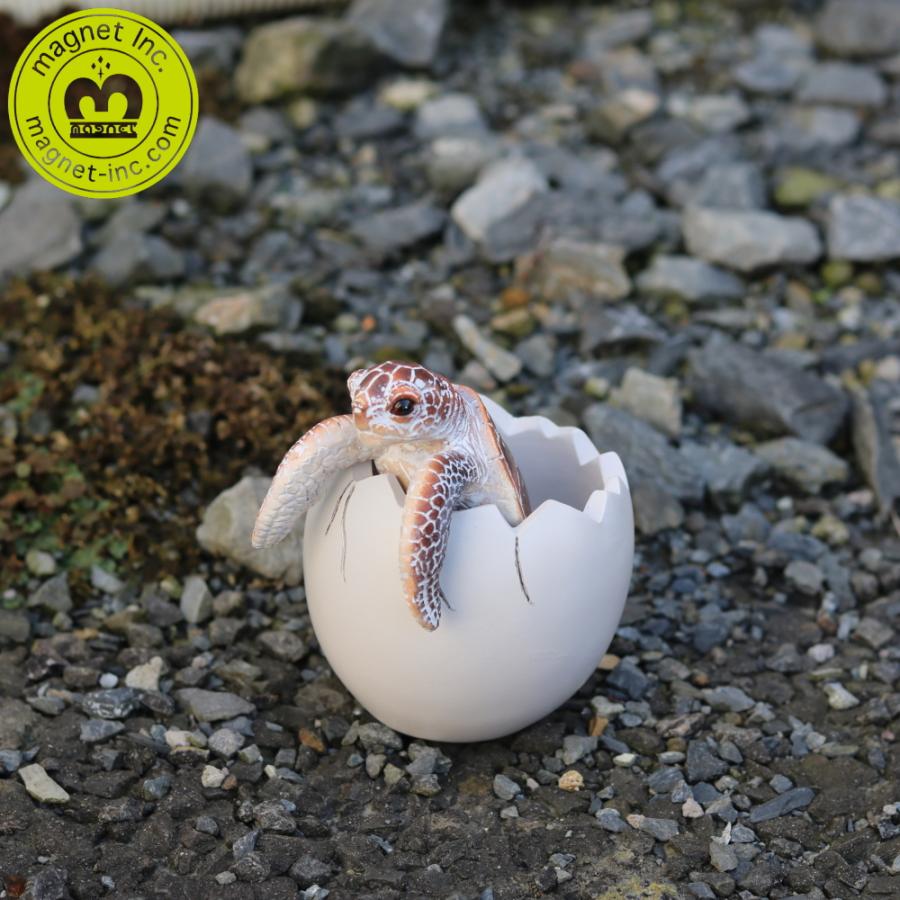 (ポイント10倍)( 産まれたてのペンスタンド ヒョウモントカゲ・カメ BOB UP STAND ボブ アップ スタンド) アニマル かわいい ...