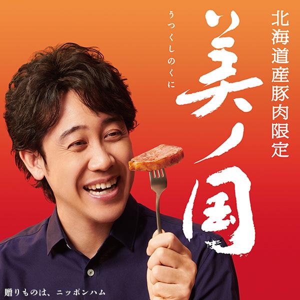 ギフト 日本ハム 北海道 プレミアム 美ノ国 UKH-48 贈り物 お中元ギフト 2024 贈答用 食品 食べ物 :v4-007:N-Styleヤフーショッピング店 - 通販 - Yahoo ...