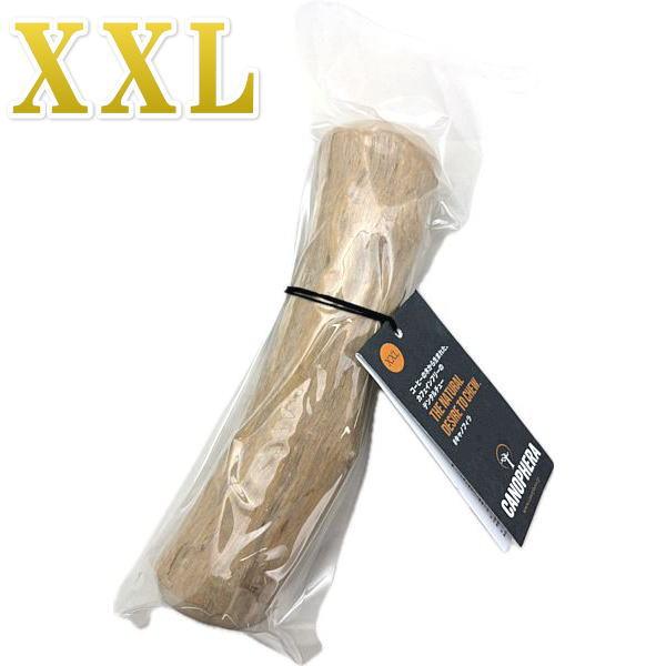CANOPHERA キャノフィラ デンタル チュースティック 1本入 サイズ XXL 正規品 ca51151コーヒーの木 : なちゅのごはん ...