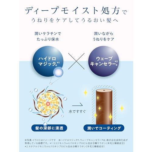 Diane(ダイアン) 【大容量】 トリートメント [夜の保水&うねりケア] ムーンライトベリーの香り パーフェクトビューティー ディープ ...