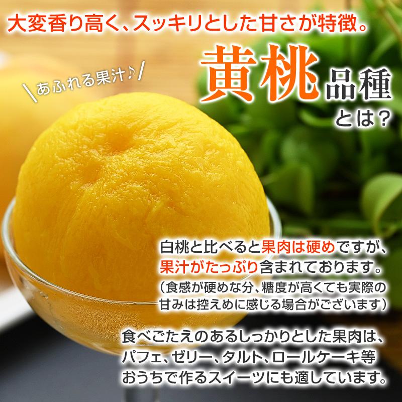 黄桃 ギフト 8月中下旬予約 福島 桃 黄桃系多種( 黄金桃 黄貴妃 その他黄桃品種) 特秀品 約2kg 6-8玉入 1箱 夏ギフト もも モモ 果物 フルーツ 送料無料 : 名代釜庄 常温 ...