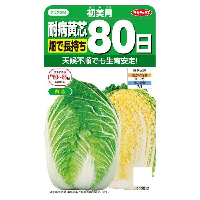 サカタのタネ 耐病黄芯80日白菜 初美月 :n20672256:ナフコオンラインストア - 実店舗の一覧 - Yahoo!ショッピング