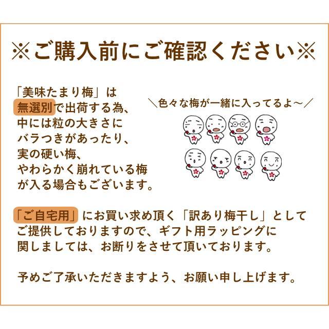 梅干し 種抜き 美味たまり梅 かつお梅 385g 塩分10% 種なし しそかつお 紀州 南高梅 はちみつ みかん蜂蜜 梅干 うめぼし 減塩 天然塩 国産 和歌山 : 長生き屋88 - 通販 ...