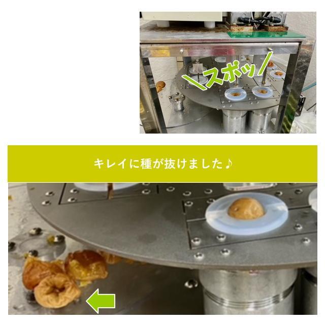 梅干し 種抜き 美味たまり梅 かつお梅 385g 塩分10% 種なし しそかつお 紀州 南高梅 はちみつ みかん蜂蜜 梅干 うめぼし 減塩 天然塩 国産 和歌山 : 長生き屋88 - 通販 ...