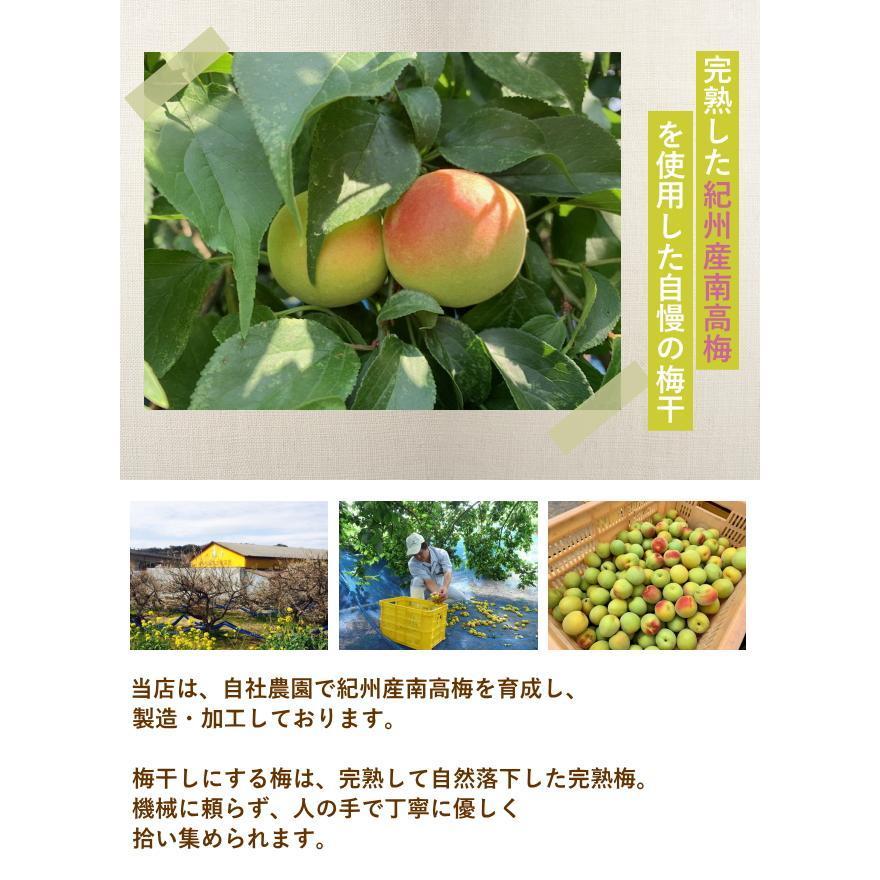 送料無料 梅干し 訳あり つぶれ梅 はちみつ入り 塩分3% 620g×2 紀州 南高梅 みかん蜂蜜 梅干 うめぼし 減塩 天然塩 国産 和歌山 : 長生き屋88 - 通販 - Yahoo!ショッピング