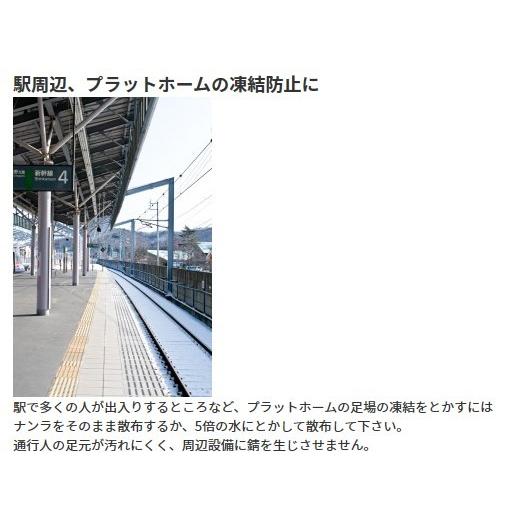 商品入荷！融雪 凍結防止剤 防塵 NANRU(ナンラ) 塩害が少ない 環境配慮 防錆効果 （個人名のみの配送不可：事業所・店舗名必須です ...