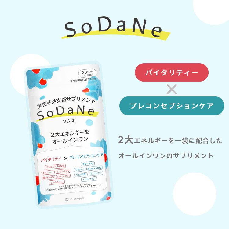 SoDaNe 蘇種 単品 男性支援サプリメント ソダネ サプリメント 男性用サプリ サプリ 妊活 活力 30日分 約1か月分 （PTCT）メール便無料【DM】 海外× :N10017352 ...