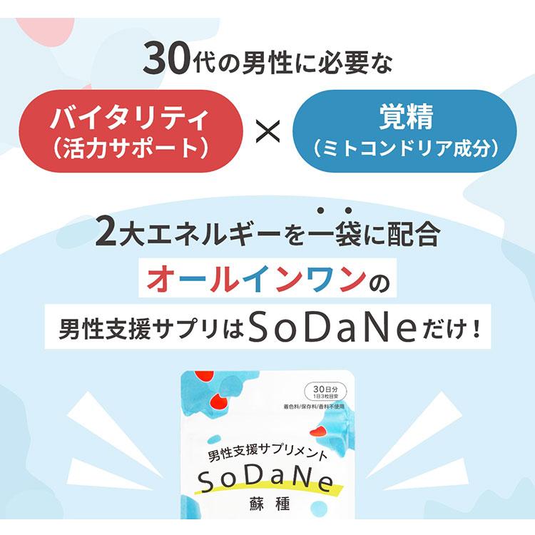 SoDaNe 蘇種 単品 男性支援サプリメント ソダネ サプリメント 男性用サプリ サプリ 妊活 活力 30日分 約1か月分 メール便可【DM】 海外× : n10017352 ...