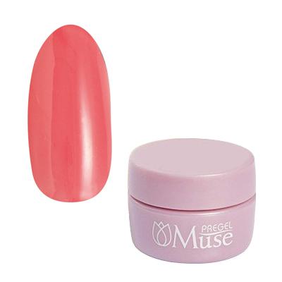 PREGEL ジェルネイル カラージェル プリジェル ミューズ スウィートチェリー PGM-S092 4g : ネイルワールド - 通販 - Yahoo!ショッピング