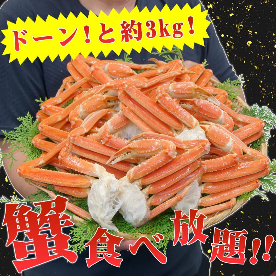 かに カニ ズワイガニ ボイル 蟹脚 総重量3kg 2Lサイズ 約9〜13肩入り 送料無料 ずわいがに 鍋 贈答 プレゼント 最安値に挑戦 :2l-zuwai3k:新鮮うまいもん市場 - 通販 ...