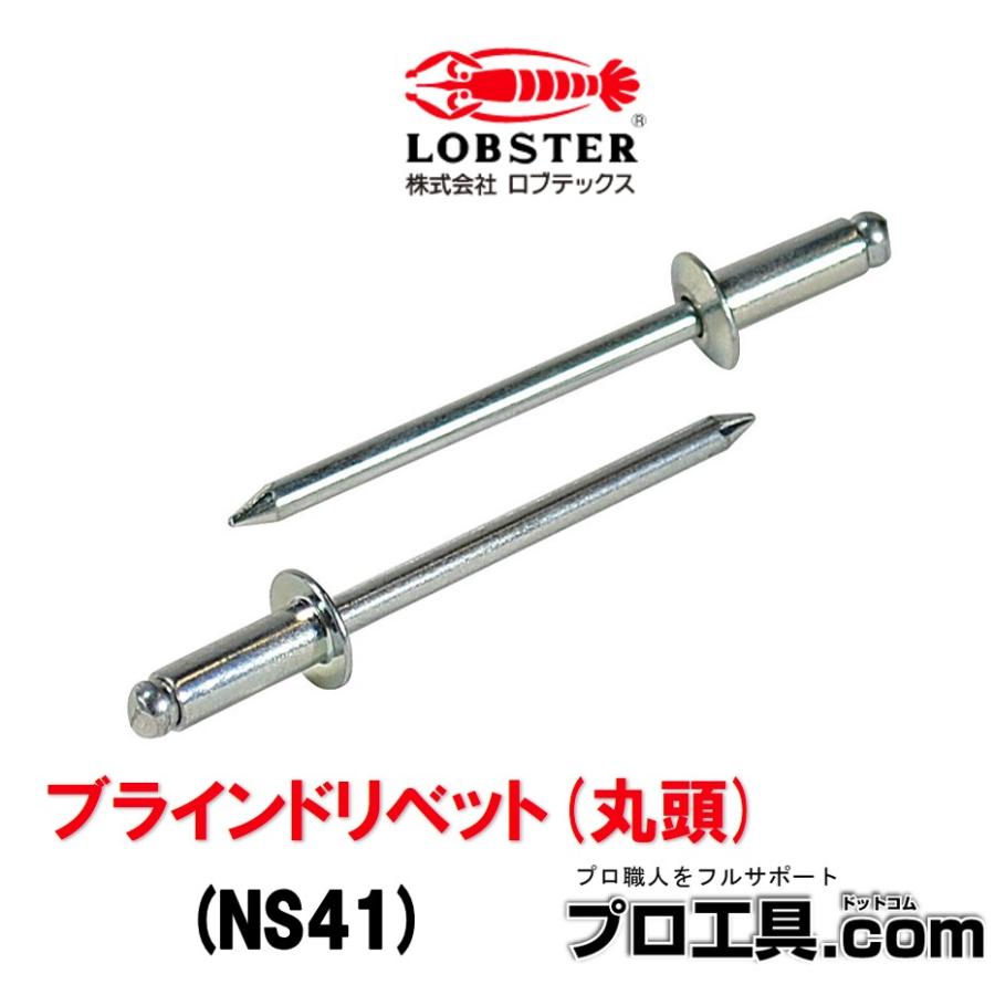 ブラインドリベット 丸頭 NS NS41 LOBSTER ロブテックス (送料区分：A) : ns41 : プロ工具.comヤフー店 - 通販 ...