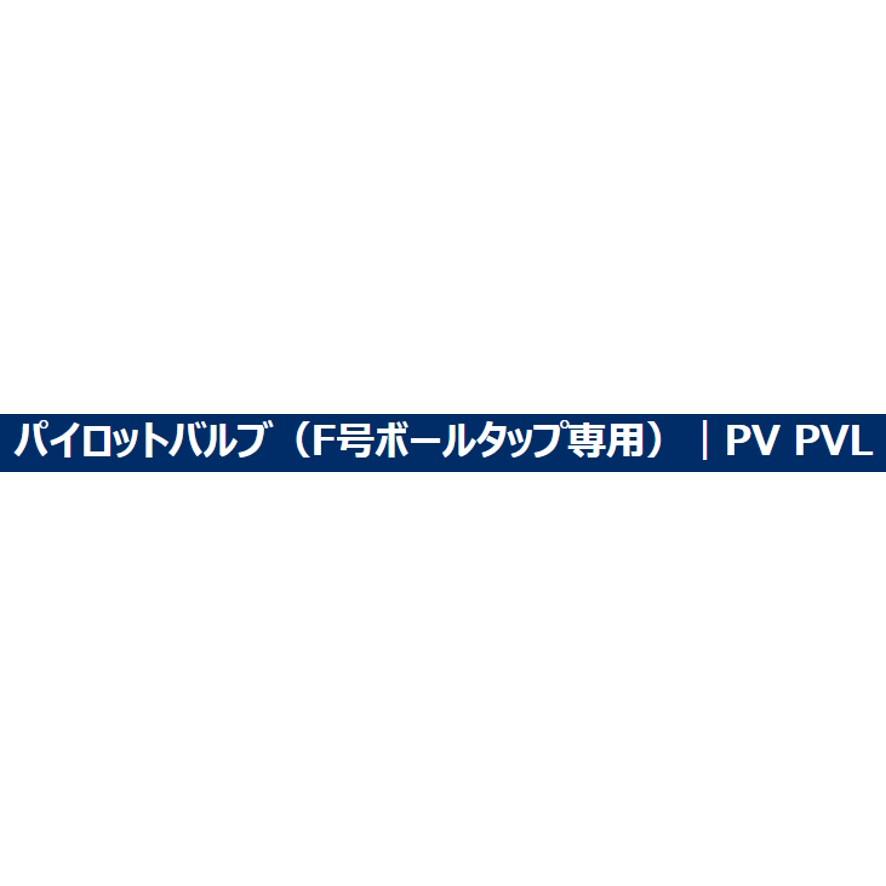 アイエス工業所 F号ボールタップ用 パイロットバルブ PV PV13 ポリボール (送料区分：A) : プロ工具.comヤフー店 - 通販 - Yahoo!ショッピング