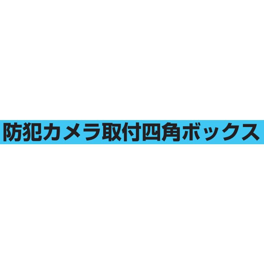 未来工業 防犯カメラ取付四角ボックス ベージュ PV4B-2010FJ 未来工業 防犯カメラ取付四角ボックス ベージュ PV4B-2010FJ