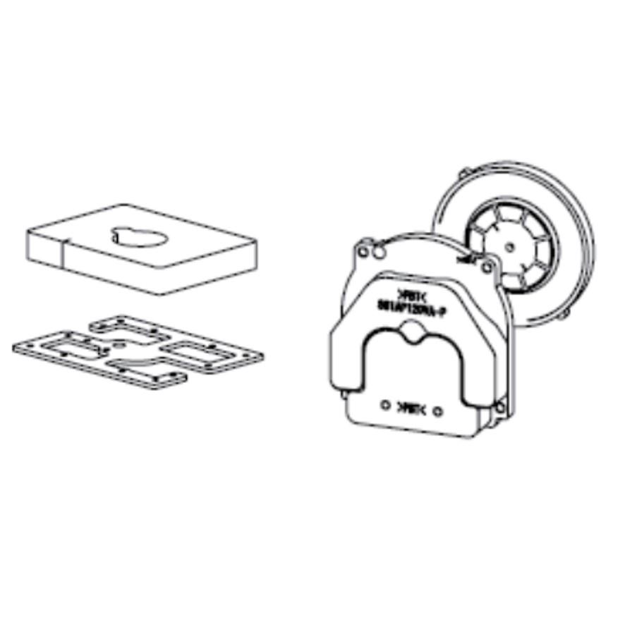 安永エアポンプ SPAP120FAY メンテナンスキット AP-80H用 AP-100F用 AP-120F用 (送料区分：A) : プロ工具.comヤフー店 - 通販 - Yahoo!ショッピング