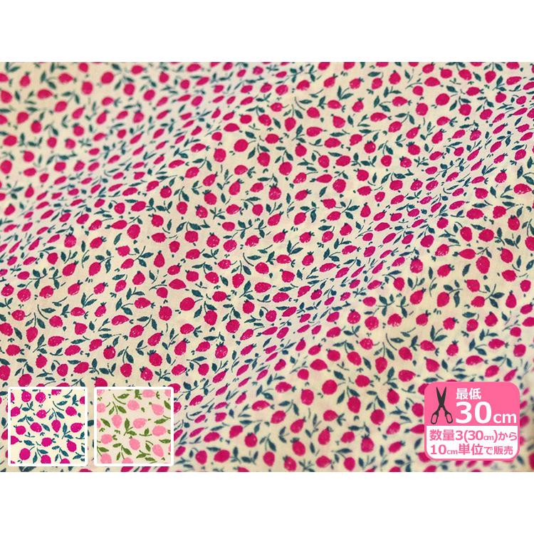 LIBERTY リバティプリント Ed エド 3636005 BE CE 2017新定番エターナルコレクション タナローン 国内定番 生地 布 ...