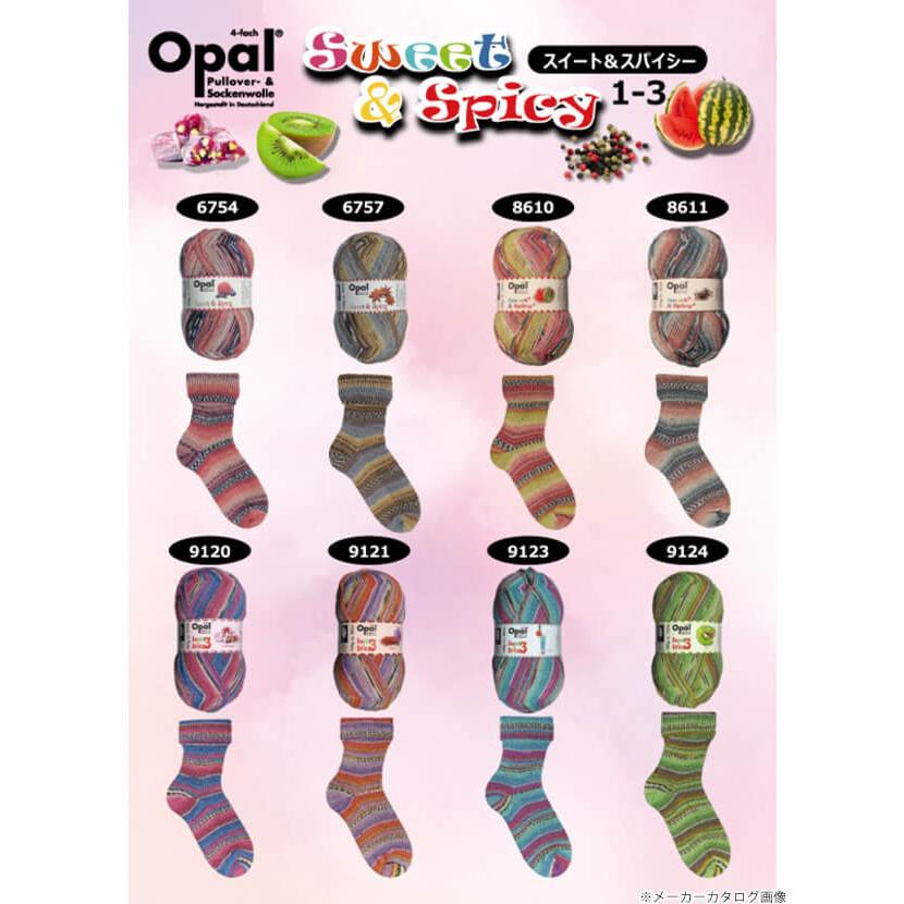 Opal 毛糸 スイート＆スパイシー 復刻版 Sweet＆Spicy1-3【毛糸】4ply 宅配便 9178 : 手芸・生地・洋裁のホビー家コテツ - 通販 - Yahoo!ショッピング