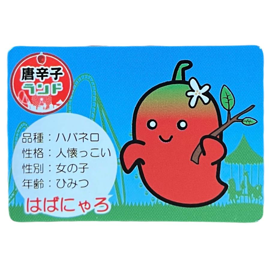 七味唐辛子 激辛唐辛子ハバネロ入り七味 15g ×10本 七海交易 : SHOP 激辛の旅 七海交易 - 通販 - Yahoo!ショッピング