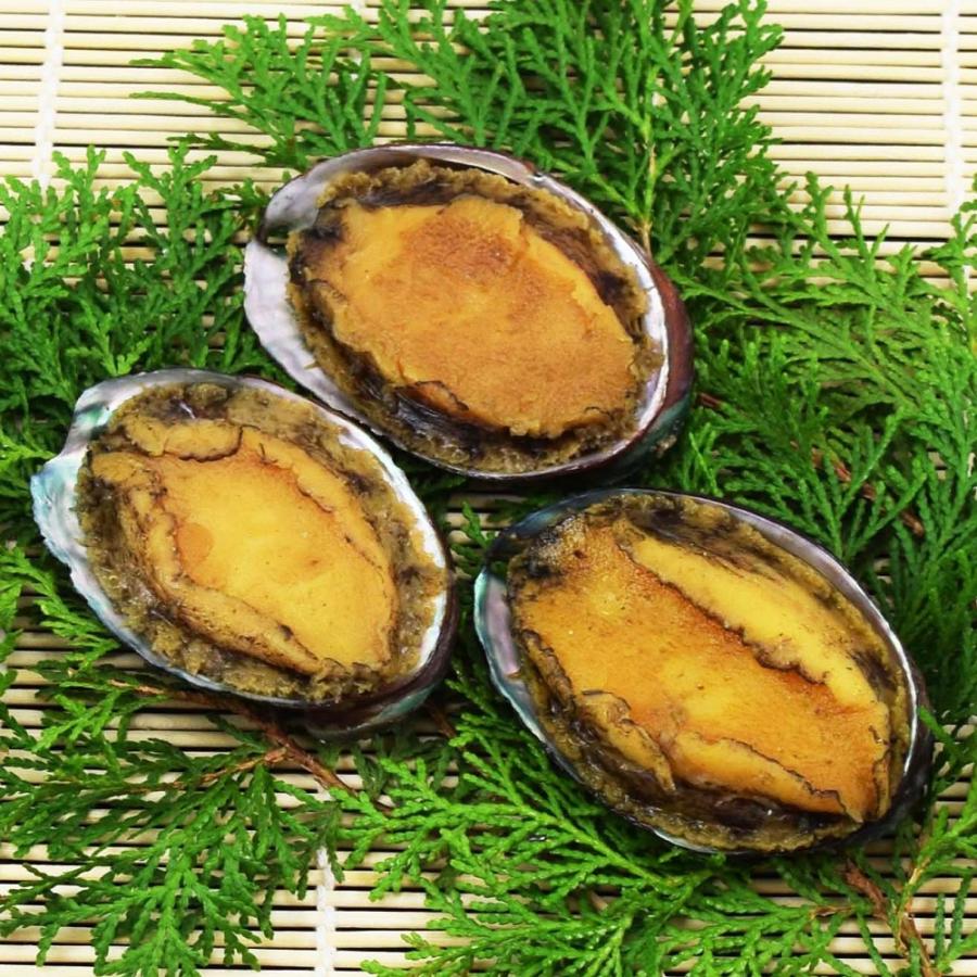 活〆アワビ 味付け 3個 入り 210g 鮑 あわび 味付あわび : なにわ旨いもん倶楽部 - 通販 - Yahoo!ショッピング