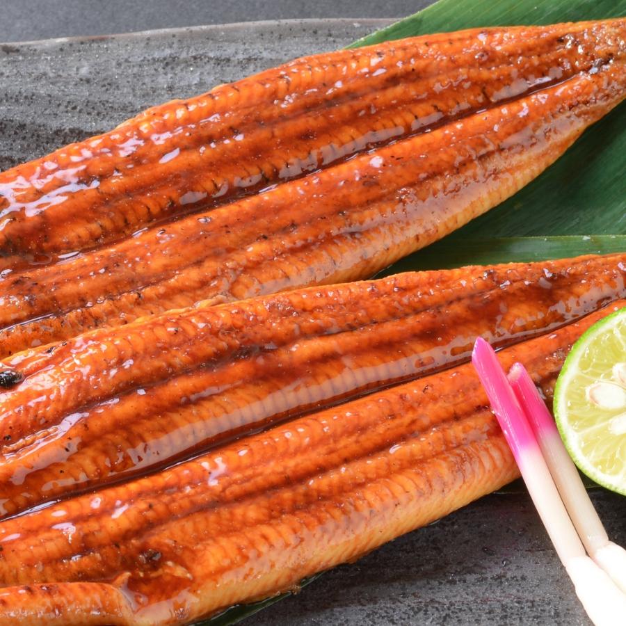 250-280g 特大うなぎ蒲焼き2尾セット (1尾あたり250-280g) 訳あり 特製たれ & 山椒付 : なにわ旨いもん倶楽部 - 通販 - Yahoo!ショッピング
