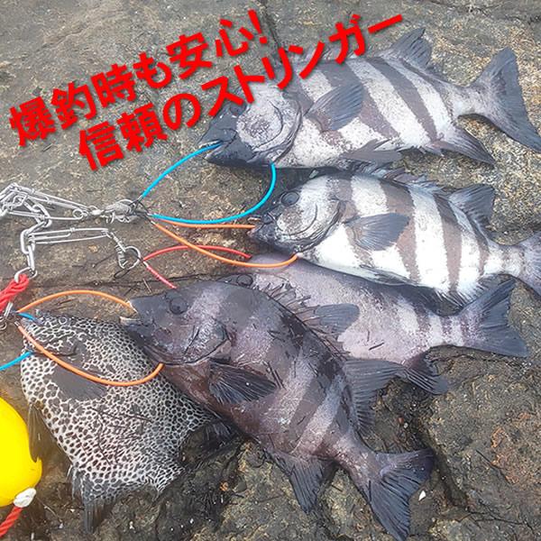 Mr.Ishidai (ミスターイシダイ) レッドストリンガーSP2 : 4580394520323 : 釣具の通販 南紀屋 - 通販 - Yahoo!ショッピング