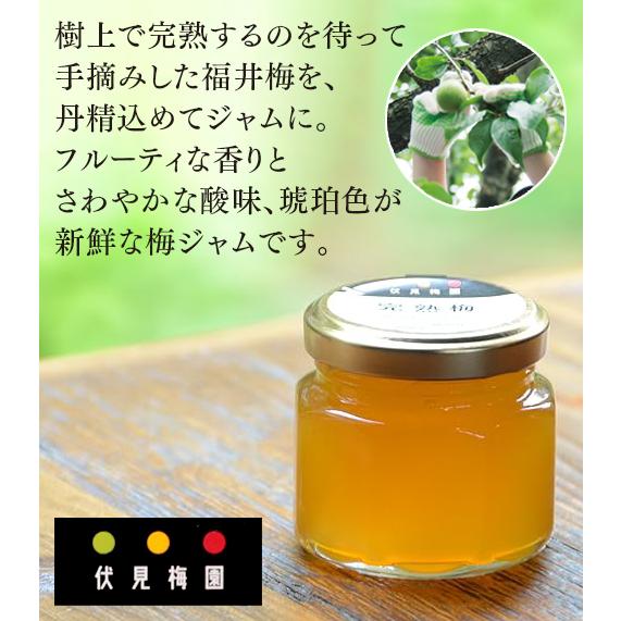 【入荷待ち】完熟梅ジャム(160g)【3個】 伏見梅園 福井梅 福井県 若狭町 着色料不使用 : 南風満帆shop Yahoo!店 - 通販 - Yahoo!ショッピング