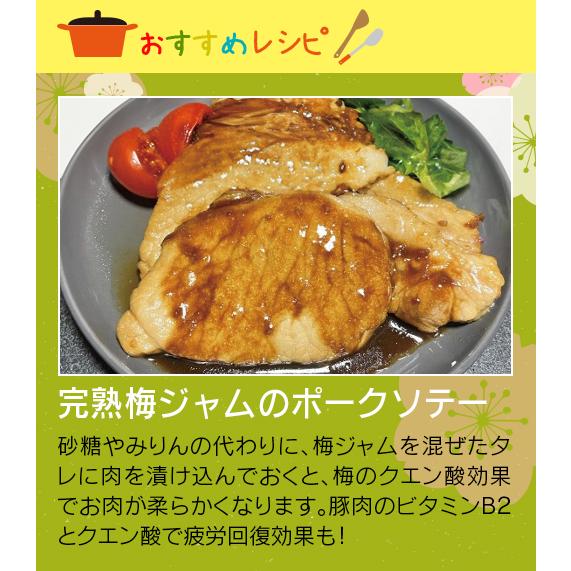 【入荷待ち】完熟梅ジャム(160g)【3個】 伏見梅園 福井梅 福井県 若狭町 着色料不使用 : 南風満帆shop Yahoo!店 - 通販 - Yahoo!ショッピング