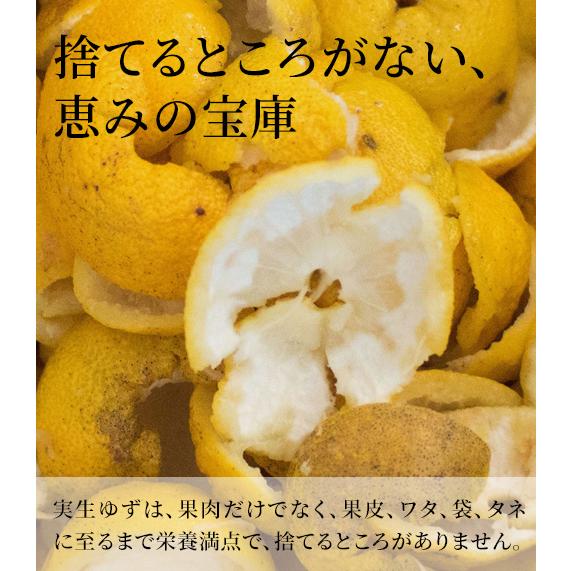 実生ゆず皮 フリーズドライ(15g)【2個】 : 南風満帆shop Yahoo!店 - 通販 - Yahoo!ショッピング