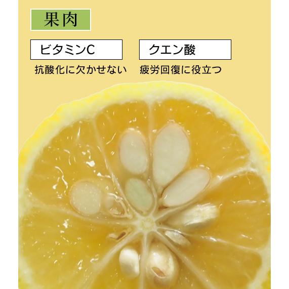 実生ゆず皮 フリーズドライ(15g)【2個】 : 南風満帆shop Yahoo!店 - 通販 - Yahoo!ショッピング