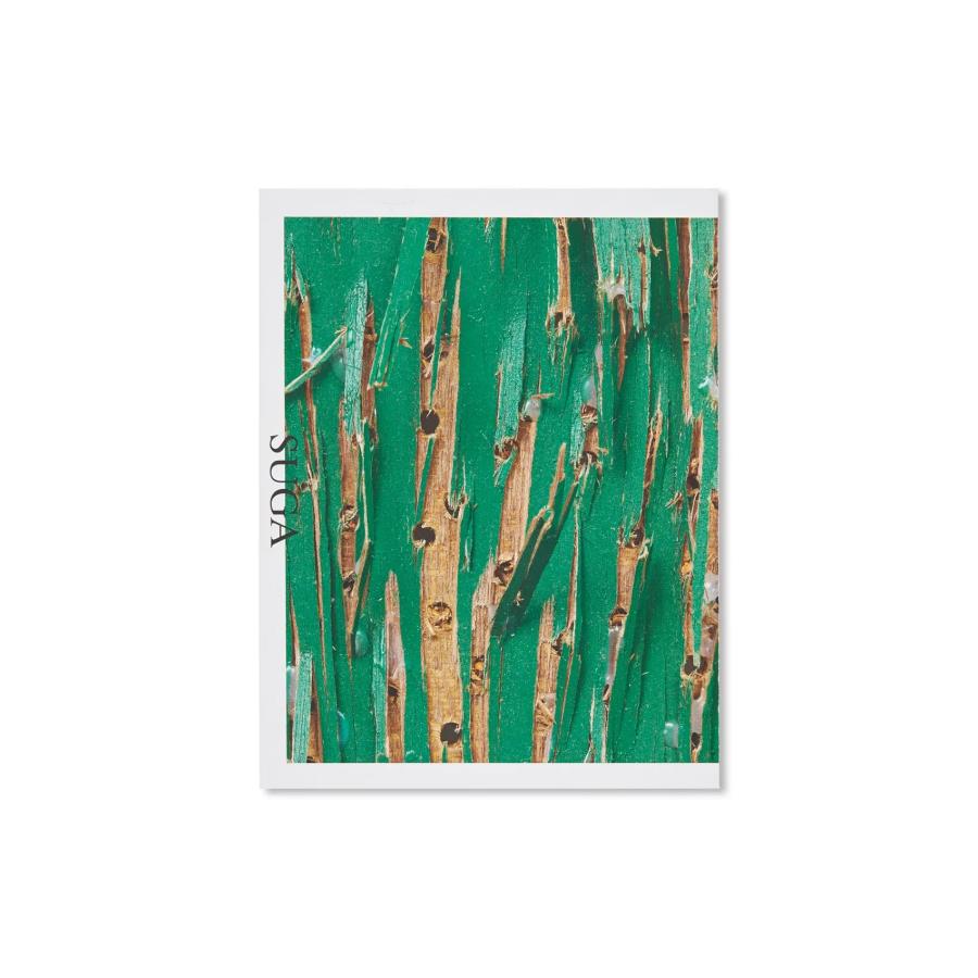 KISHIO SUGA (2015) by Kishio Suga : art0326m : 奈良 蔦屋書店ヤフー店 - 通販 - Yahoo ...